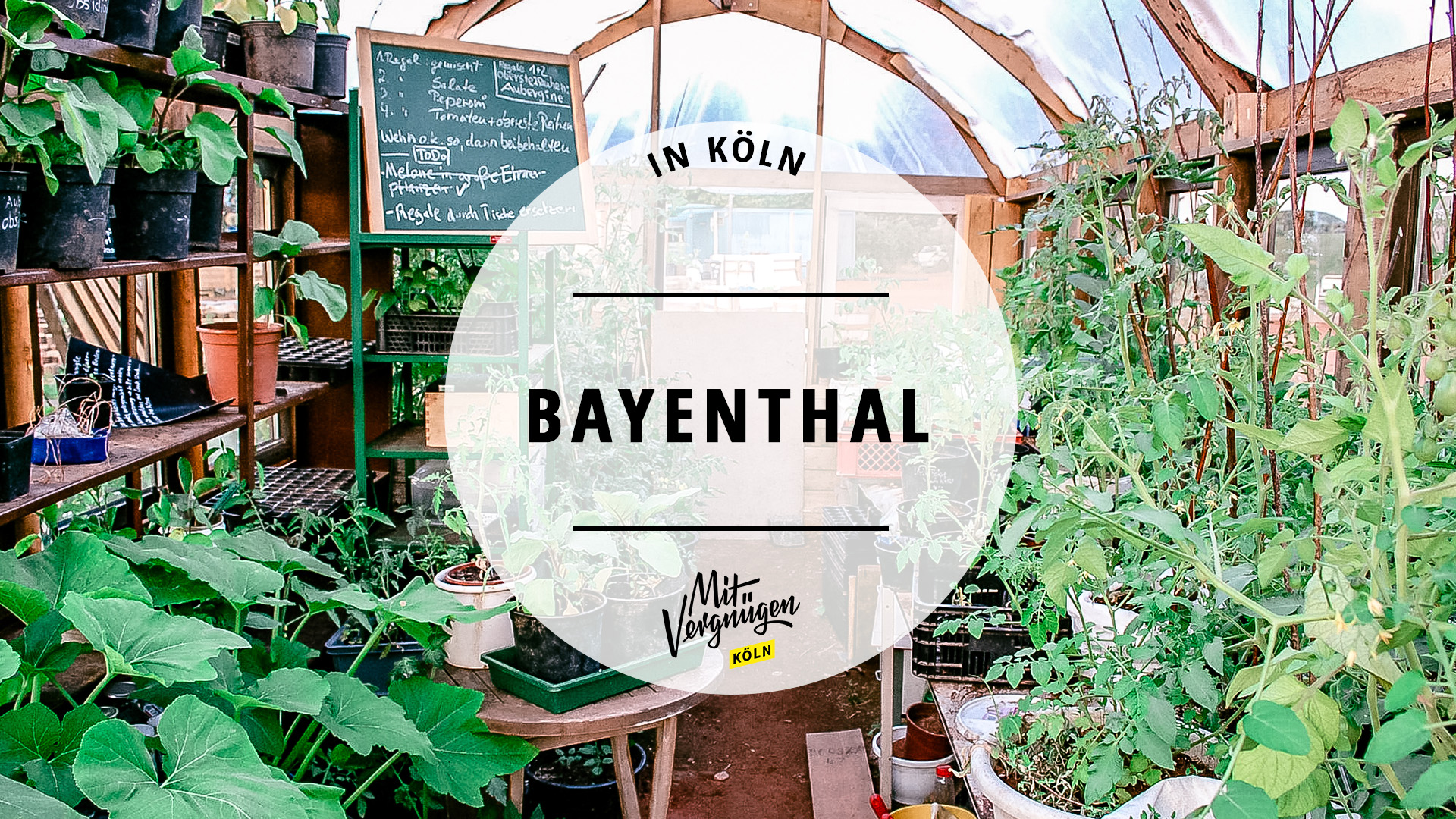 11 Dinge, die ihr in Bayenthal machen könnt | Mit Vergnügen Köln