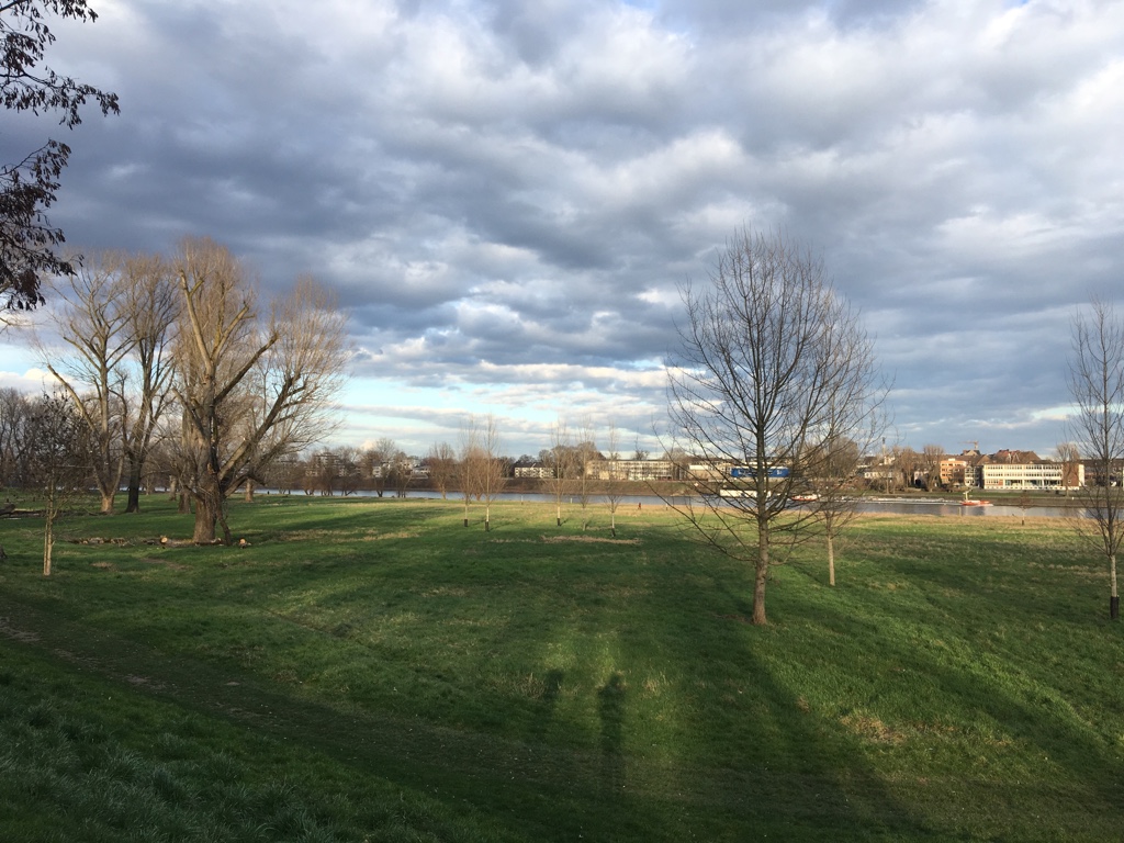 Riehler Rheinaue – Natur mitten in Köln | Mit Vergnügen Köln
