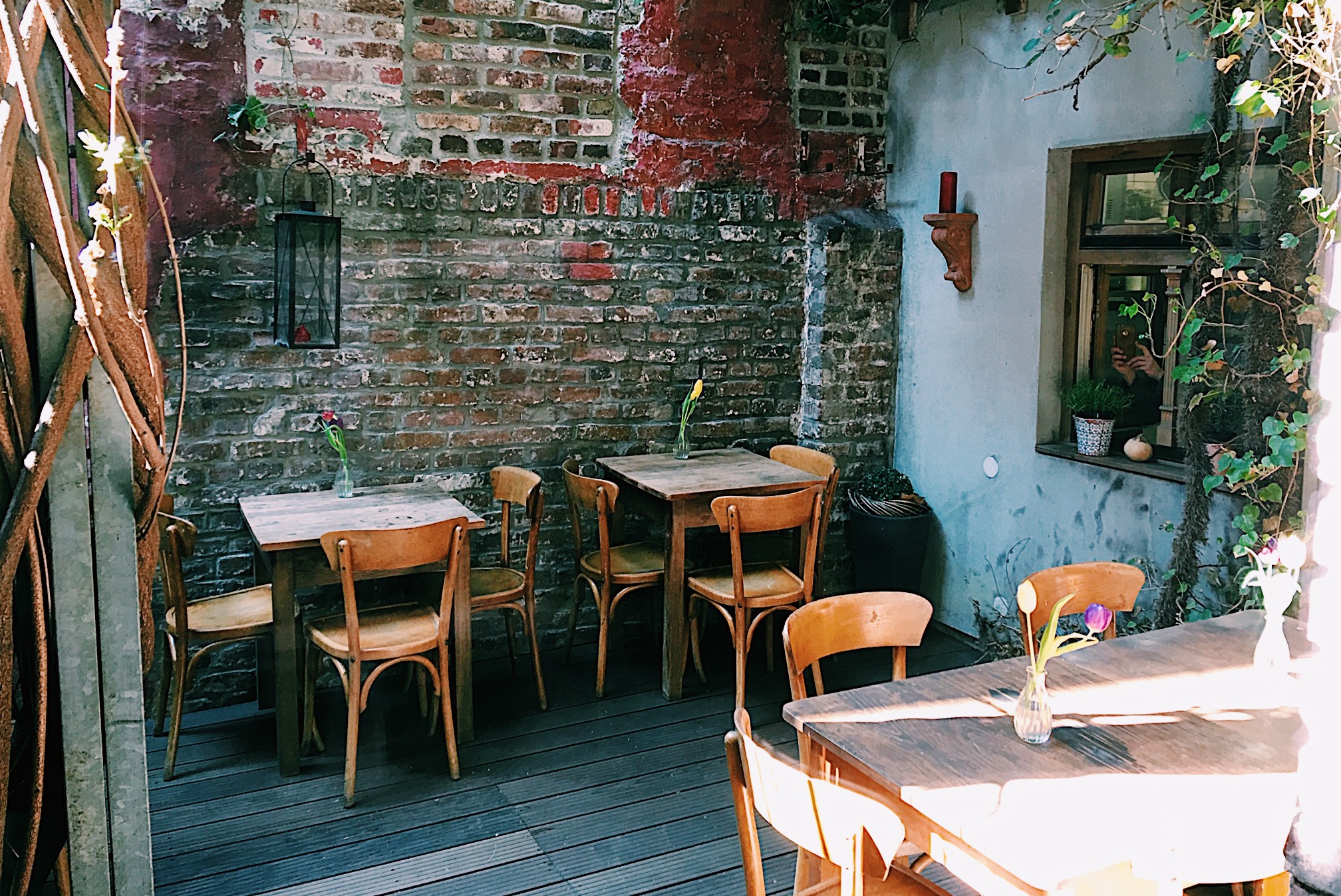 Edles aus der mediterranen Küche im Limbourg | Mit Vergnügen Köln